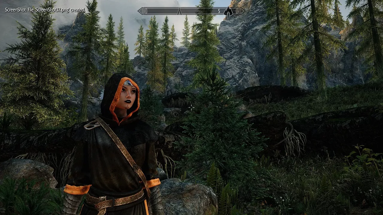 Small Mods and Fixes パッチ - Skyrim Special Edition Mod データベース MOD紹介・まとめサイト