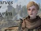 Scarves Of Skyrim 服・アクセサリー - Skyrim Special Edition Mod データベース MOD紹介・まとめサイト