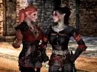 GLAM Jenassa Irileth NPC - Skyrim Special Edition Mod データベース MOD紹介・まとめサイト