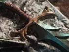 Stormfang - Truly Unique 武器 - Skyrim Special Edition Mod データベース MOD紹介 ...