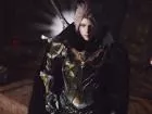 Japhet - high poly male vampire standalone follower (ESPFE) フォロワー ...