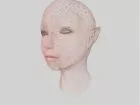 Onean Reborn High Poly Head Patch And More フォロワー - Skyrim Special ...