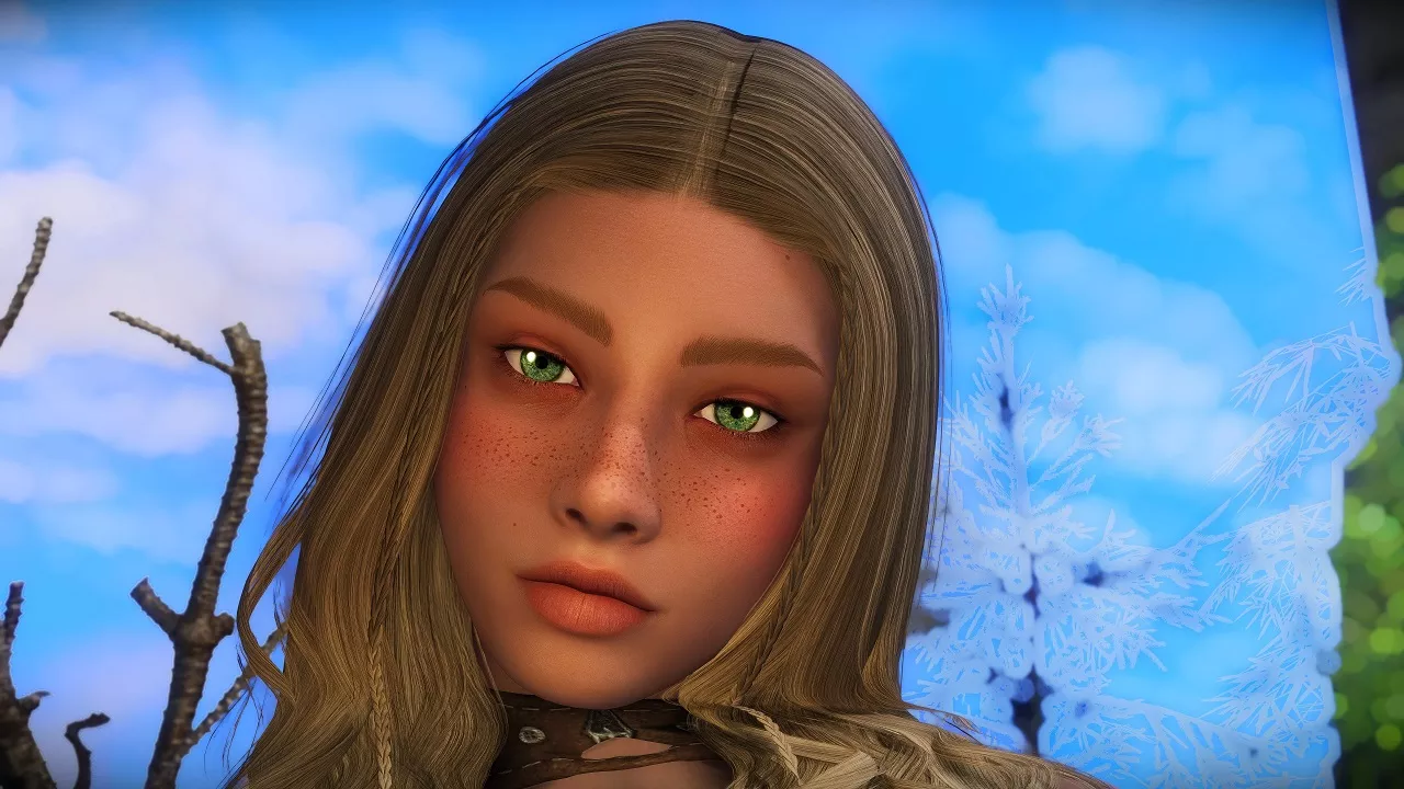 Nadia - Warrior Follower フォロワー - Skyrim Special Edition Mod データベース MOD ...