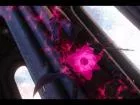Sanguine Rose Rework 日本語化対応 武器 - Skyrim Special Edition Mod データベース MOD ...