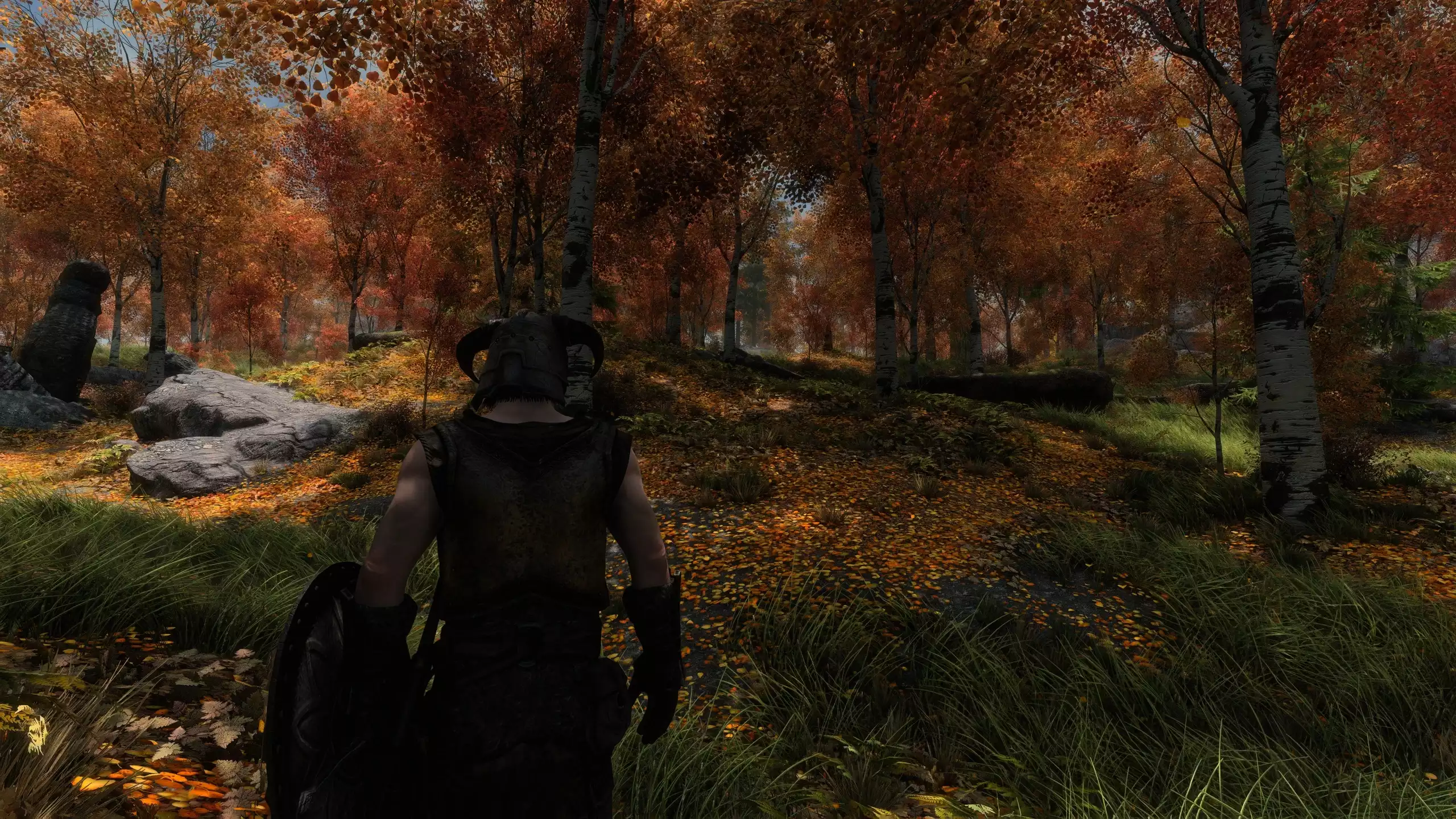 A realistic style grass mix of Folkvangr and Verdant 環境 - Skyrim ...