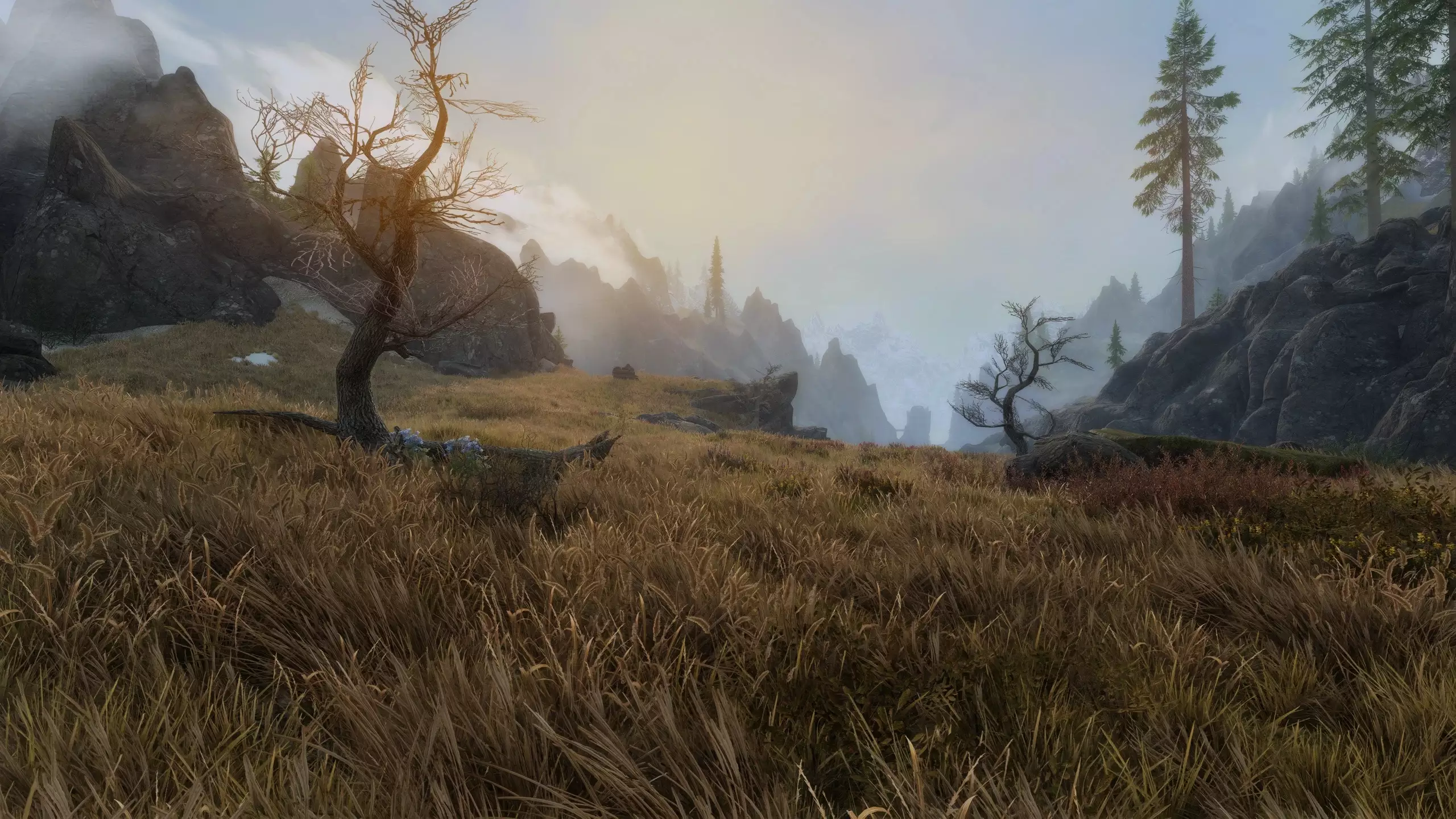 A realistic style grass mix of Folkvangr and Verdant 環境 - Skyrim ...