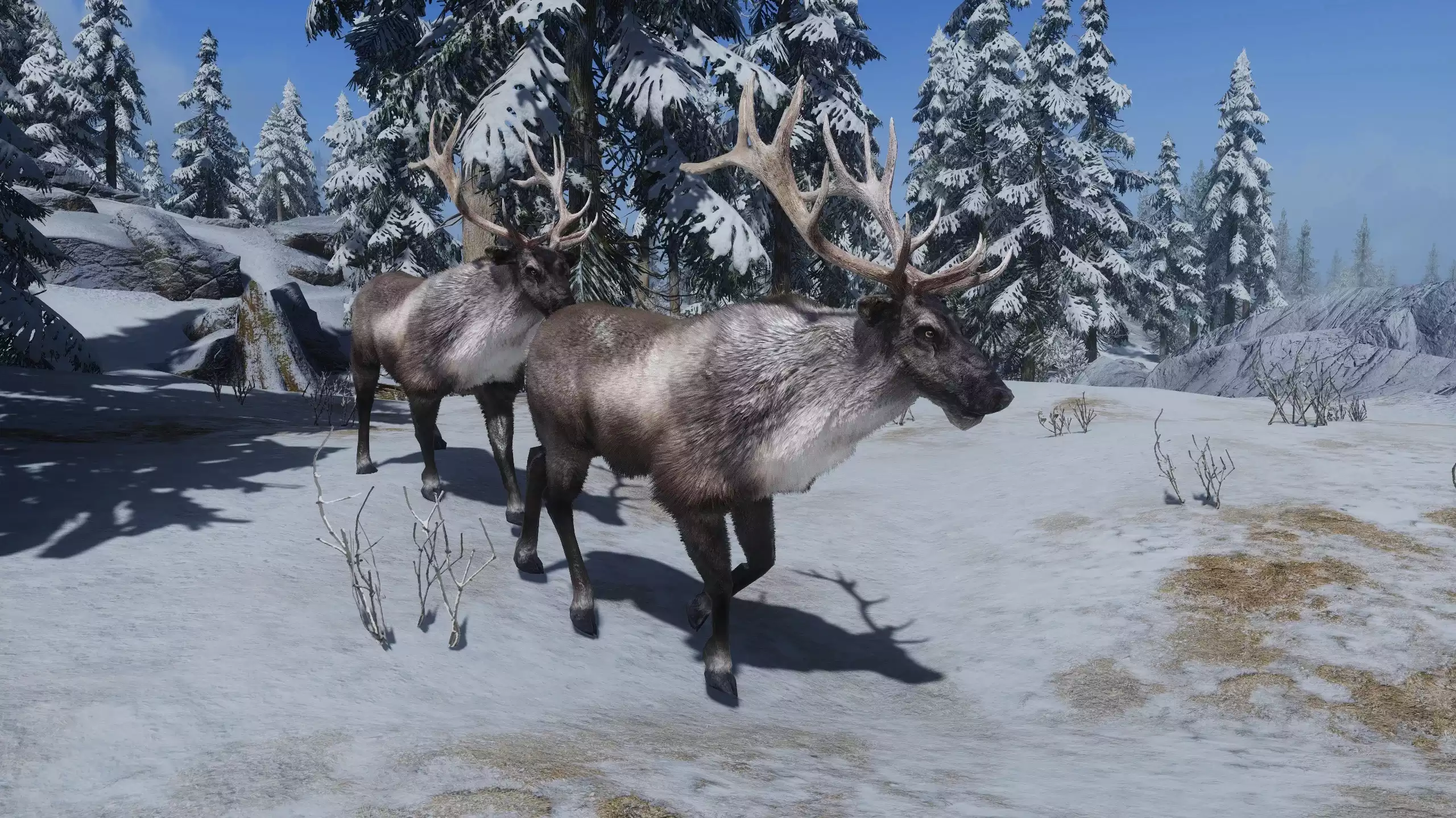Deer Reworked - Ultimate モデル・テクスチャ - Skyrim Special Edition Mod データベース ...