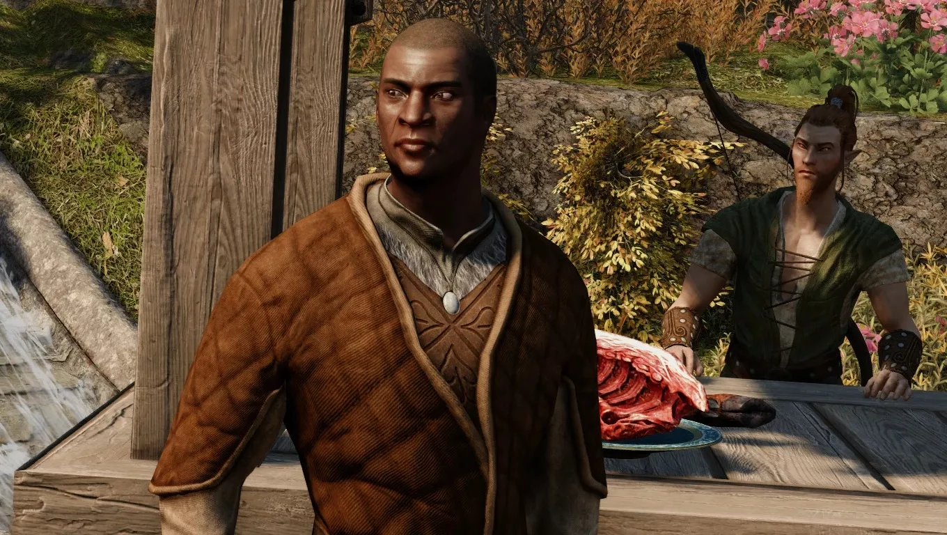 F.A.C.E.S - Fairly Aesthetic Character Enhancements for Skyrim NPC ...