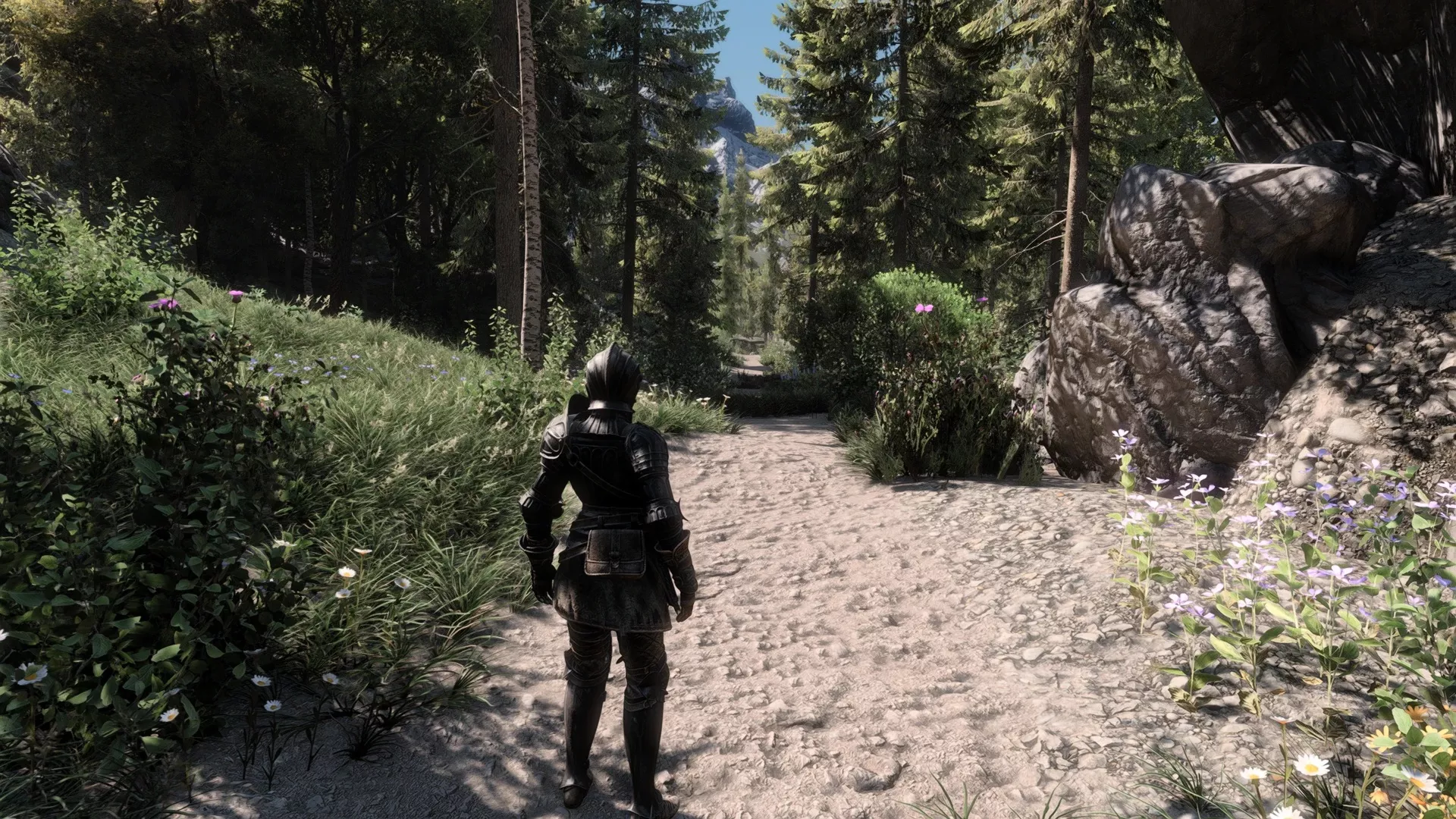 Northern Roads - Complex Parallax - 1k 2k 4k 8k - Forest Road モデル・テクスチャ ...