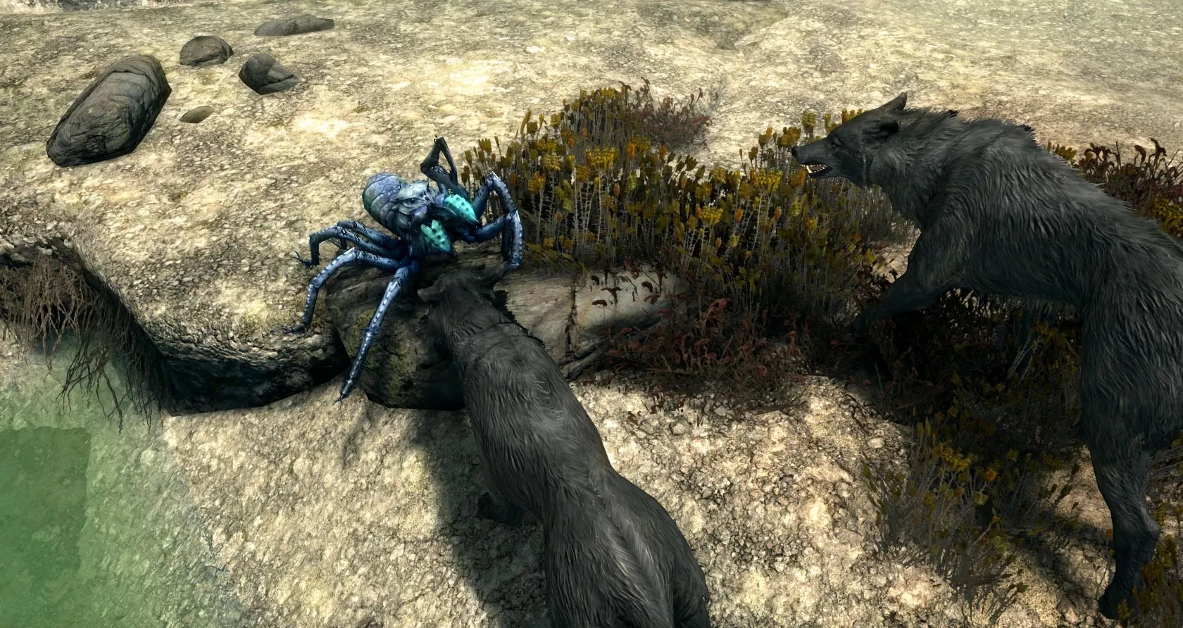 Pets of Skyrim - Pets of War クリーチャー・騎乗 - Skyrim Special Edition Mod ...