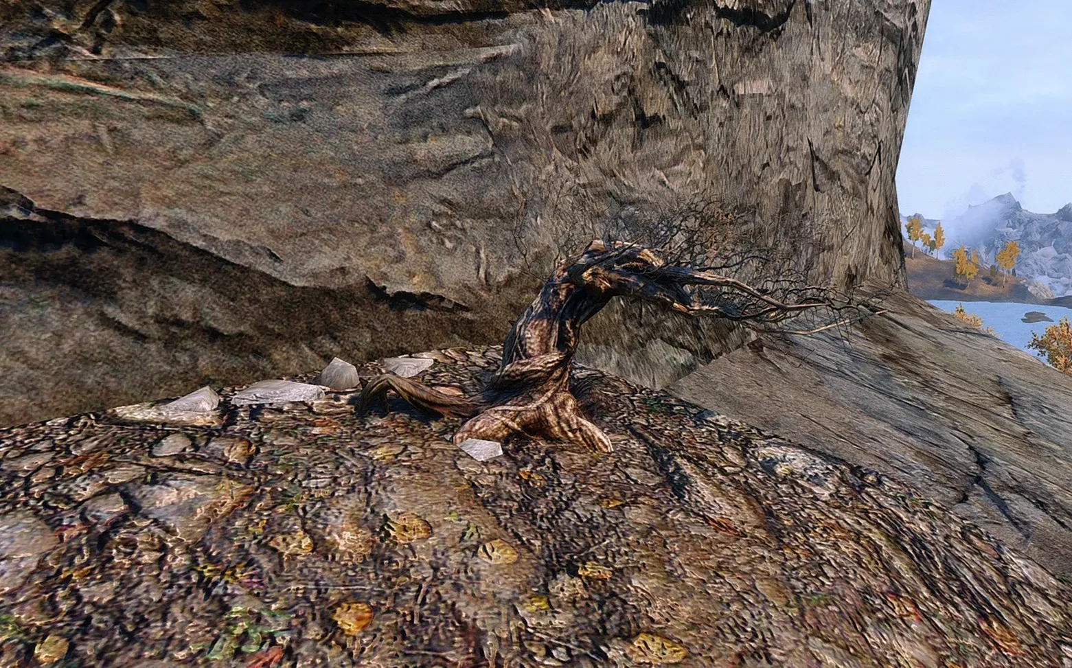 Canis Root Placement Fix バグフィックス - Skyrim Special Edition Mod データベース ...