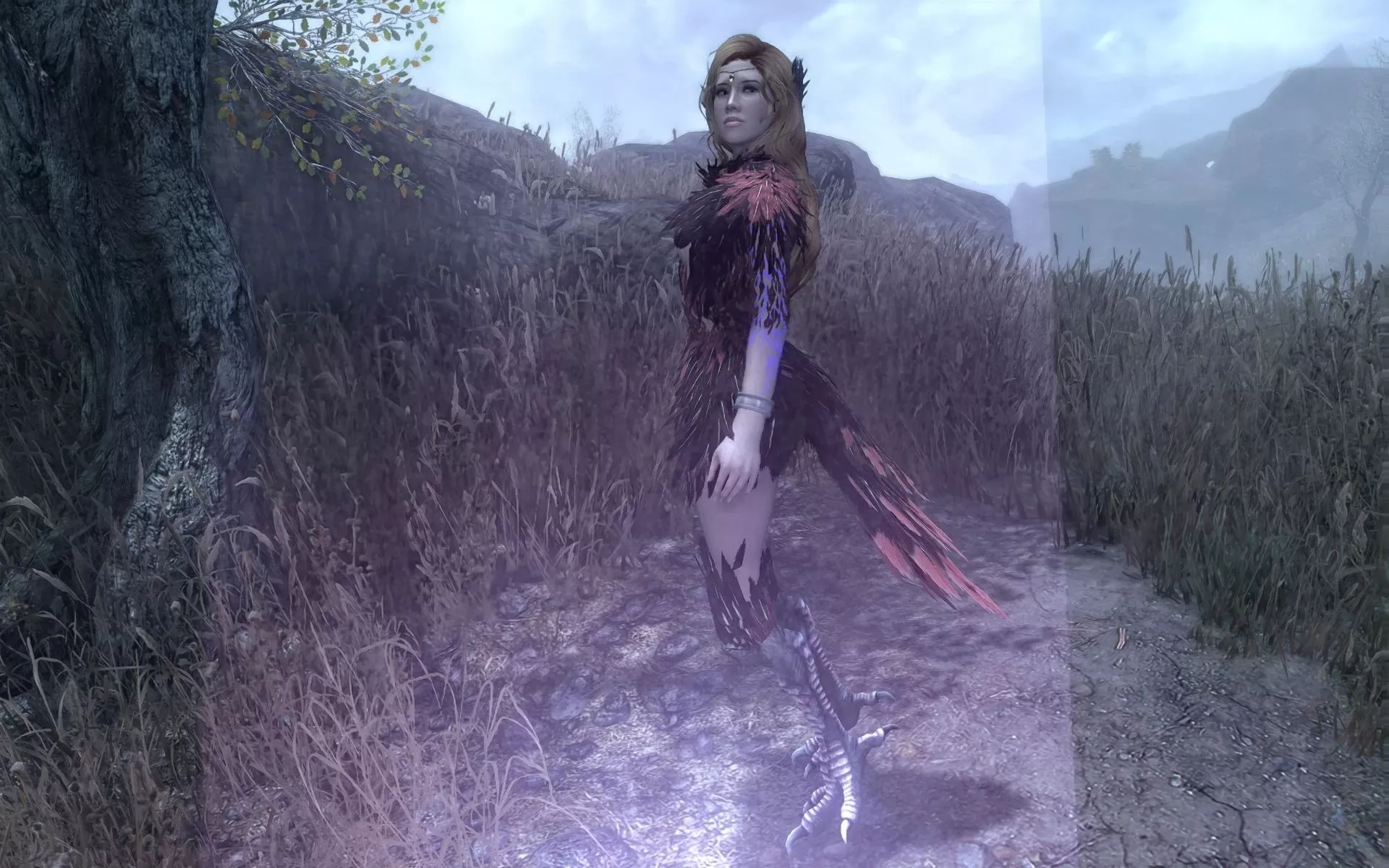 Female Monsters Of Skyrim SkyPatched フォロワー - クリーチャー - Skyrim Special ...