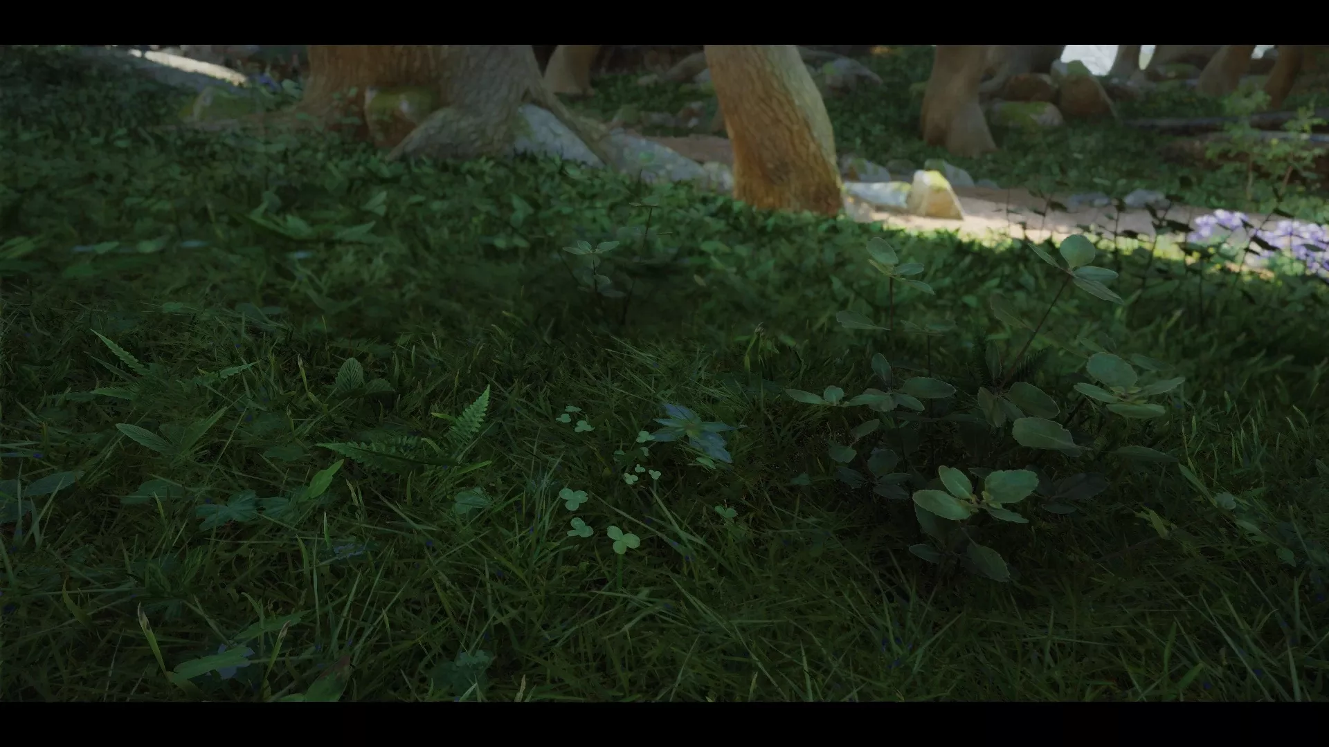 Meadows of Lorwyn - High Fantasy Grass Overhaul 環境 - Skyrim Special ...