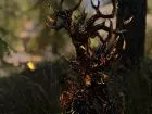 MM - Real Spriggans モデル・テクスチャ - Skyrim Special Edition Mod データベース MOD紹介 ...