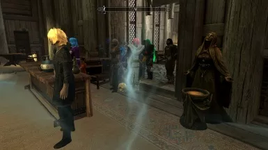 Fairy Tail Follower and Race overhaul フォロワー - Skyrim Special Edition ...