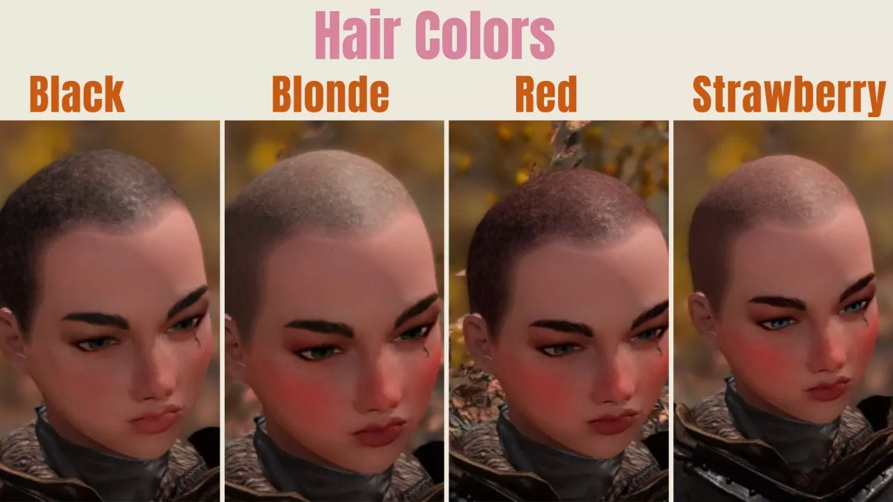 Rigmor of Bruma Customizer SE フォロワー - Skyrim Special Edition Mod データベース ...