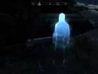 Rhorn the Incorporeal - Ghost Follower フォロワー - Skyrim Special Edition ...