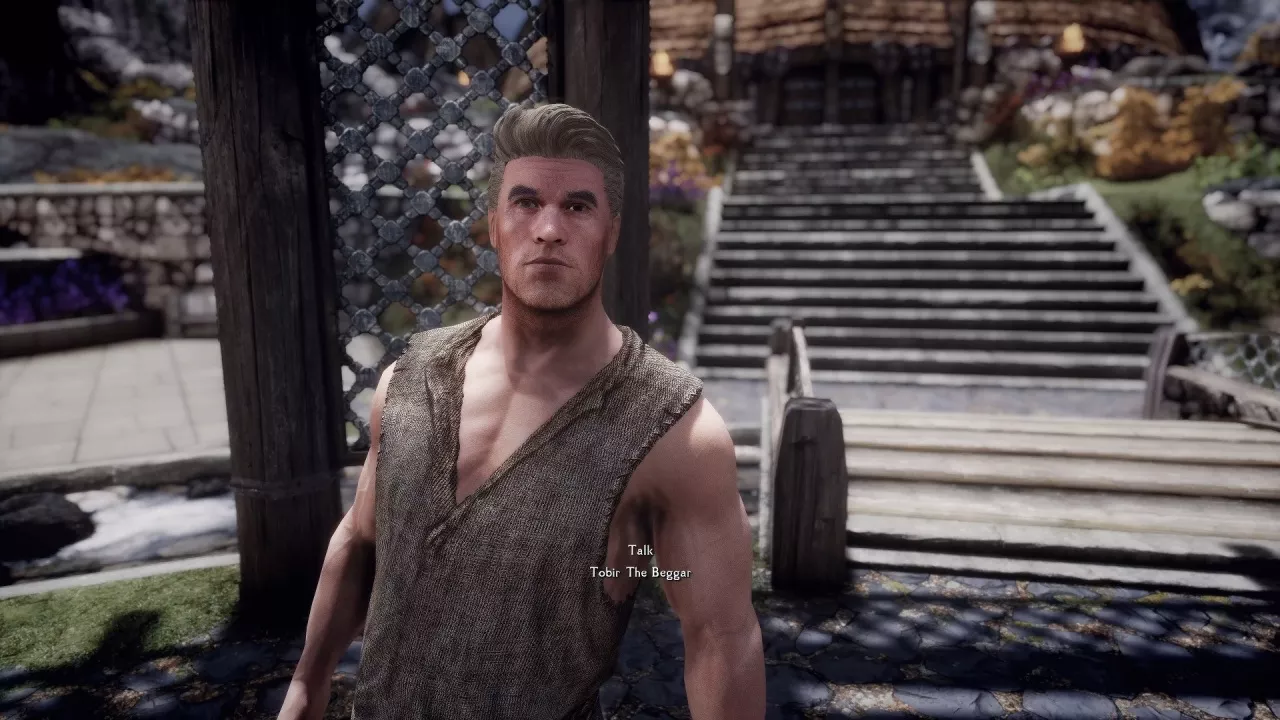 Modpocalypse NPCs - Lots More Followers NPC - Skyrim Special Edition ...