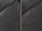 GoT Dragons 16K-8K - Cleaned and Upscaled Textures (Game of Thrones ...