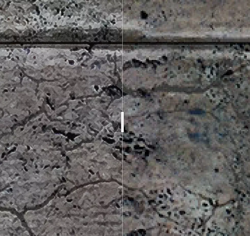 HQ Vanilla Snow Elf Ruins Retexture モデル・テクスチャ - Skyrim Special Edition ...