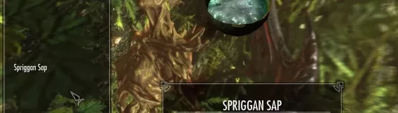 Spriggans Drop Spriggan Sap バグフィックス - Skyrim Special Edition Mod データベース ...