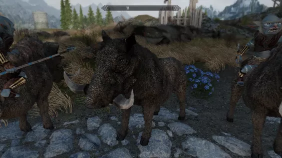 Fluffy Boars モデル・テクスチャ - Skyrim Special Edition Mod データベース MOD紹介・まとめサイト