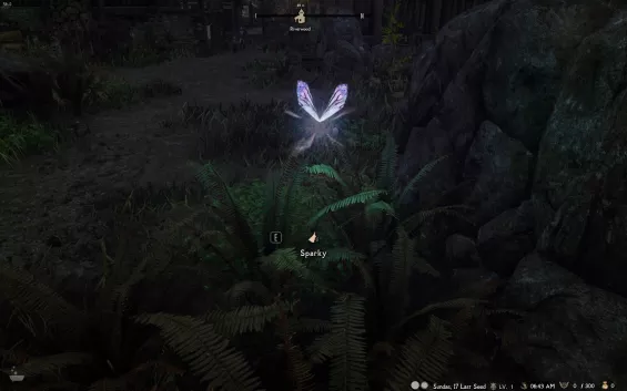 Sparky - a fairy companion - ENB Light Addon パッチ - Skyrim Special ...