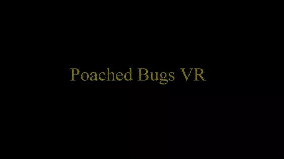 Poached Bugs VR バグフィックス - Skyrim Special Edition Mod データベース MOD紹介・まとめサイト