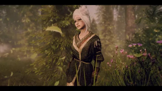 Ellis the Half-elf - A stand alone follower mod フォロワー - Skyrim Special ...