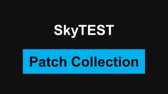 SkyTEST - Patch Collection パッチ - Skyrim Special Edition Mod データベース MOD ...