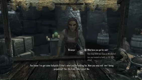 Dialogue Expansion - Windhelm 日本語化対応 イマージョン - Skyrim Special Edition ...