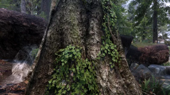 High Quality Ivy for Tree Stumps and Logs モデル・テクスチャ - Skyrim Special ...