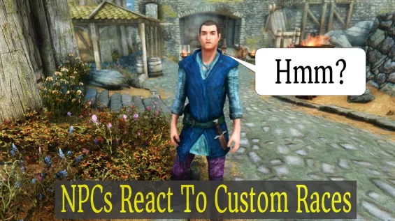 NPCs React to Custom Races 日本語化対応 イマージョン - Skyrim Special Edition Mod ...