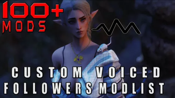 Skyrim (Custom Voiced Followers) Mod List フォロワー - Skyrim Special ...