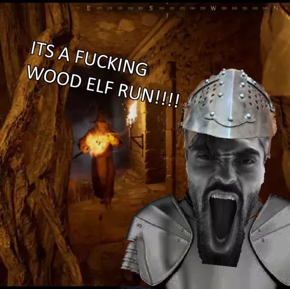 No Magic Immunity for Orchendor 戦闘 - Skyrim Special Edition Mod データベース ...