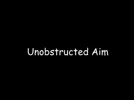 Unobstructed Aim 日本語化対応 戦闘 - Skyrim Special Edition Mod データベース MOD紹介・まとめサイト
