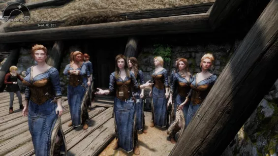 SkyPatcher NPC Replacer Follower Converter - xEdit Script ユーティリティ - Skyrim Special Edition Mod ...