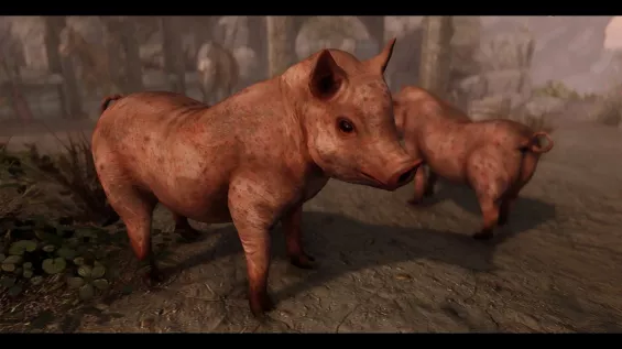 Pigs- Mihail Monsters and Animals (SE-AE) クリーチャー・騎乗 - Skyrim Special ...