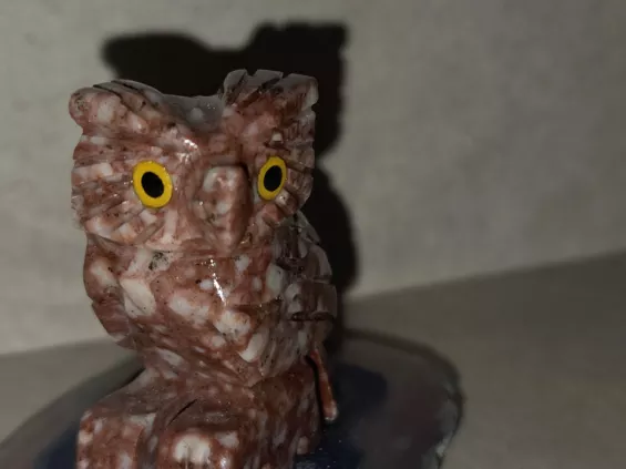 Open World Loot - SkyPatcher Edition オーバーホール - Skyrim Special Edition ...