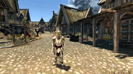 Heavy Ancient Falmer Armor 鎧・アーマー - Skyrim Special Edition Mod データベース ...