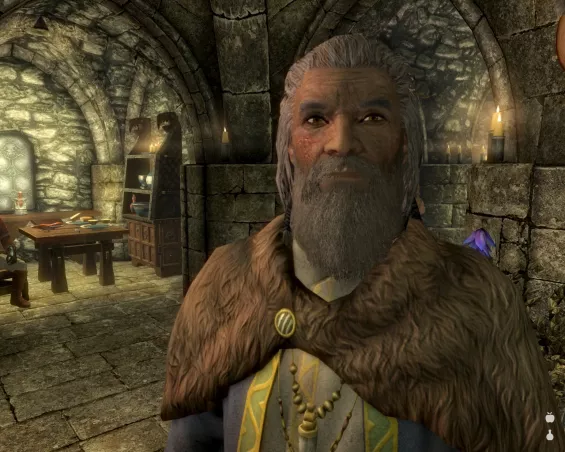 Valindor's Fences - A Fence In Every Tavern NPC - Skyrim Special ...