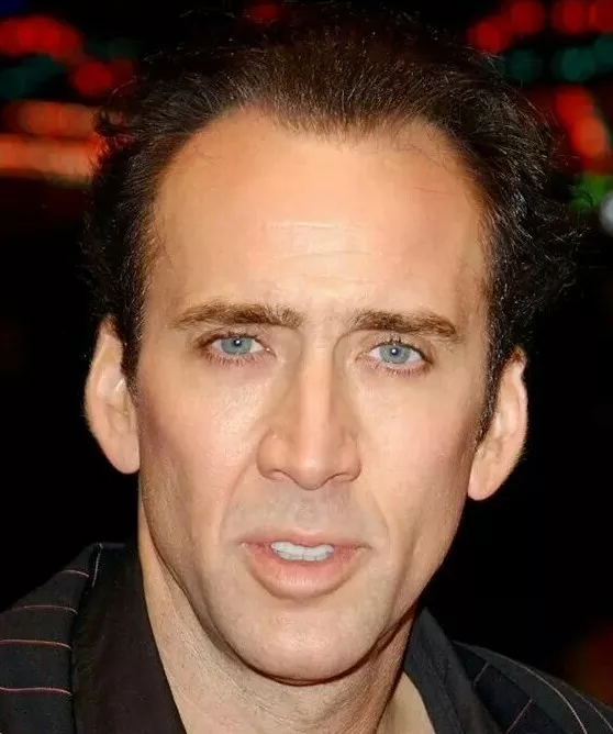 Nicolas Cages モデル・テクスチャ - Skyrim Special Edition Mod データベース MOD紹介・まとめサイト