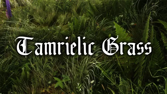 Tamrielic Grass 環境 - Skyrim Special Edition Mod データベース MOD紹介・まとめサイト