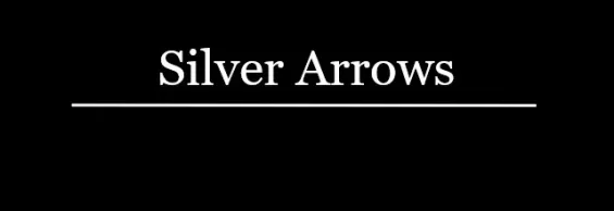 Silver Arrows 武器 - Skyrim Special Edition Mod データベース MOD紹介・まとめサイト