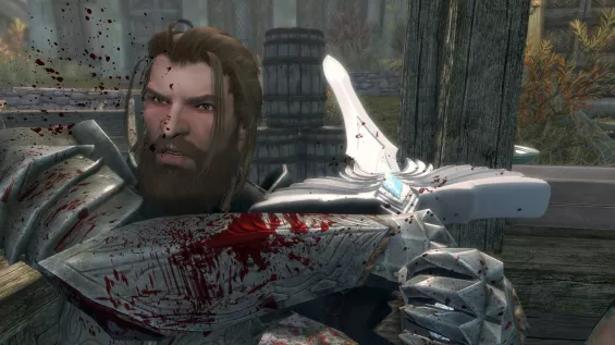 Arthur Brokenshield in Skyrim フォロワー - Skyrim Special Edition Mod データベース ...