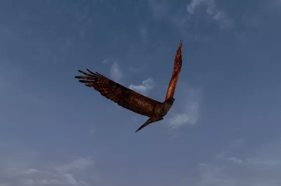 Simple hawk replacer モデル・テクスチャ - Skyrim Special Edition Mod データベース MOD ...