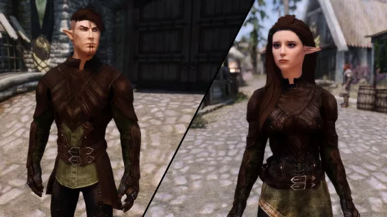 Rogue Light Elven Armor 鎧・アーマー - Skyrim Special Edition Mod データベース MOD ...