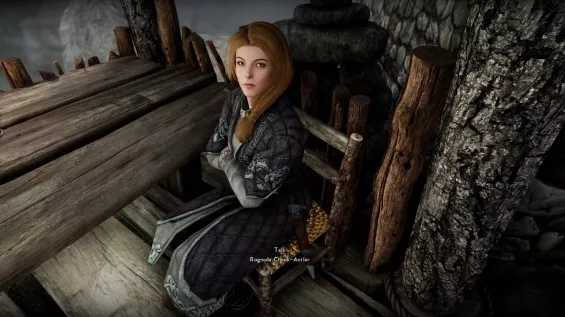 Modpocalypse NPCs - Amber Guard NPC - Skyrim Special Edition Mod データベース ...