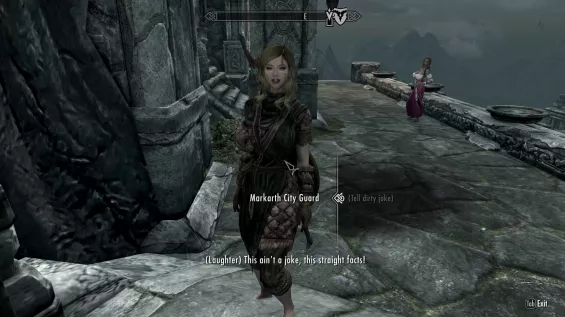 Shadowmans NPCs 4 - Simping Female Guards - Sexlab Addon 日本語化対応 イマージョン ...