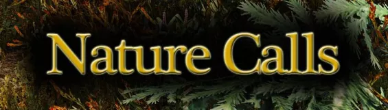 Nature Calls イマージョン - Skyrim Special Edition Mod データベース MOD紹介・まとめサイト